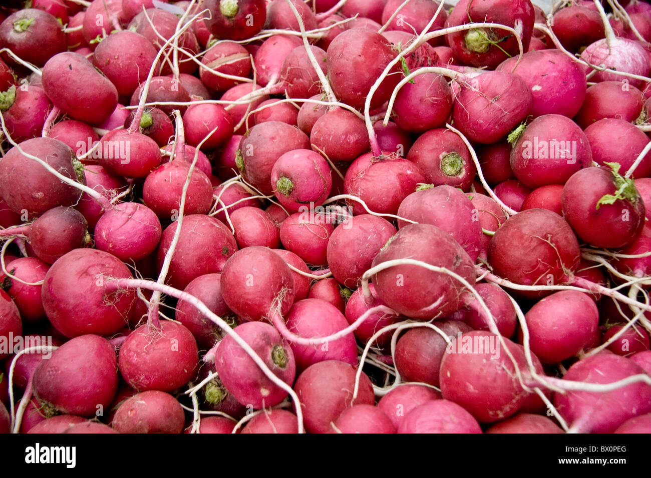 Turnips red radish hi-res stock photography and images - Alamy
