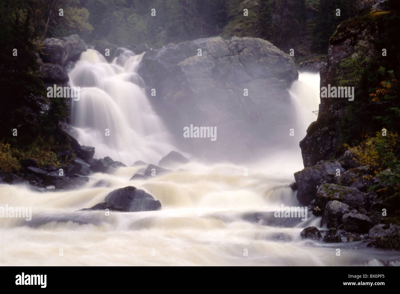 Flowing water of beautiful mountain river Stock Photo - Alamy
