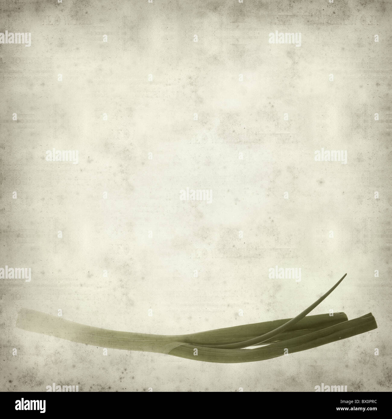 textured old paper background with spring onion Stock Photo - Alamy
