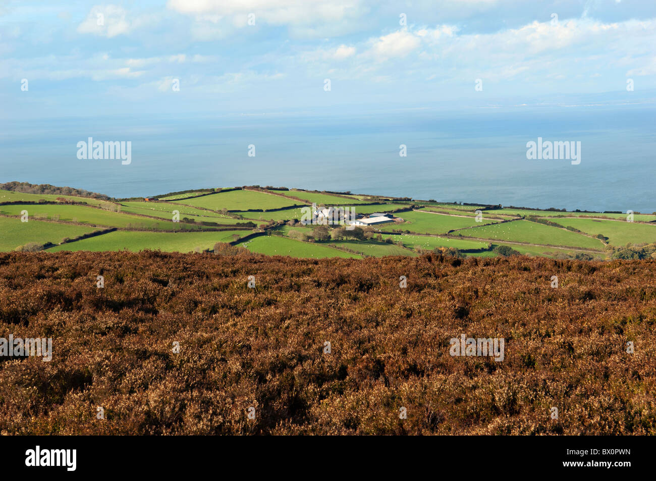 Exmoor view near Porlock Devon Stock Photo - Alamy