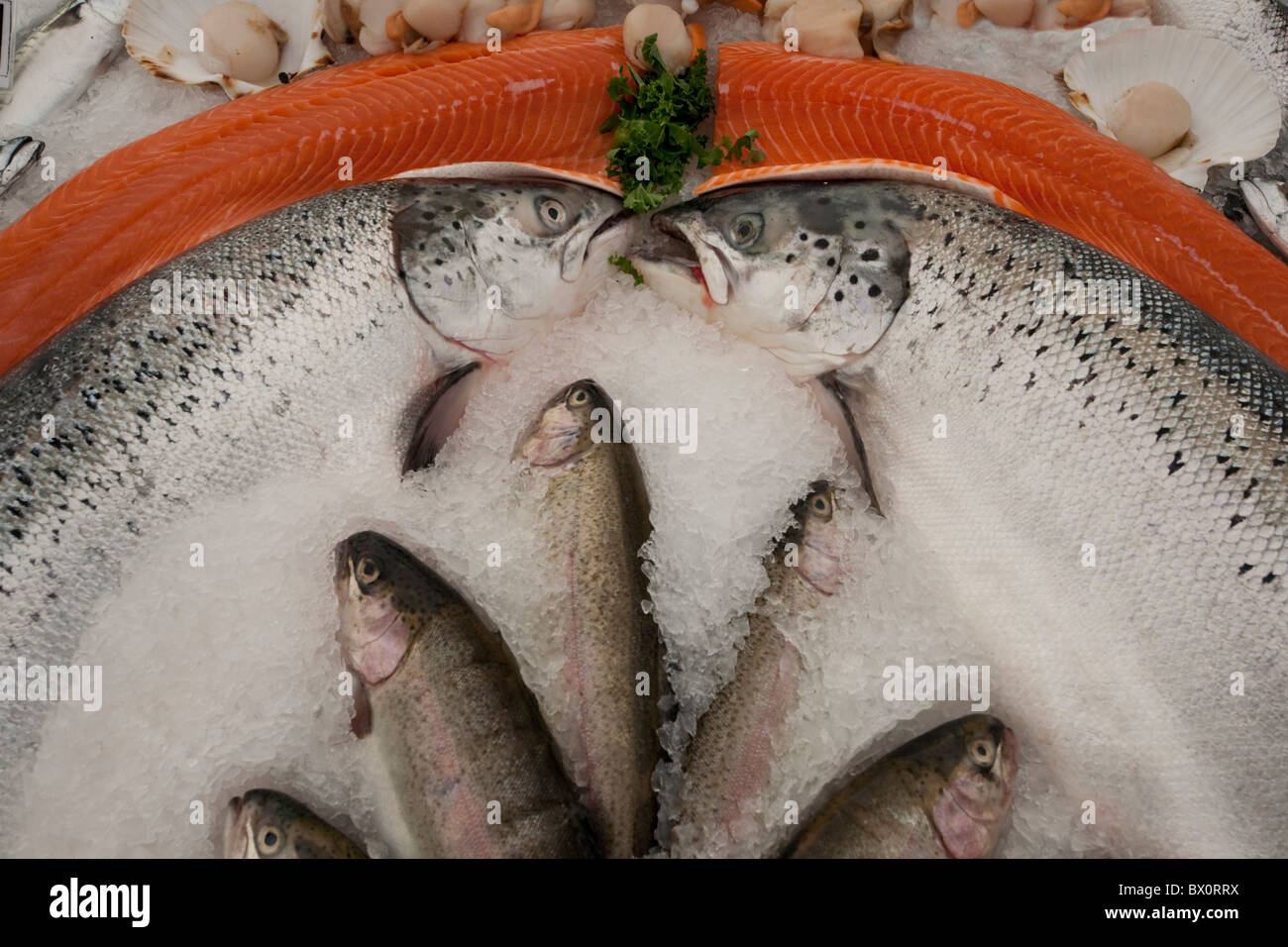 Fishmongers window display Stock Photo - Alamy