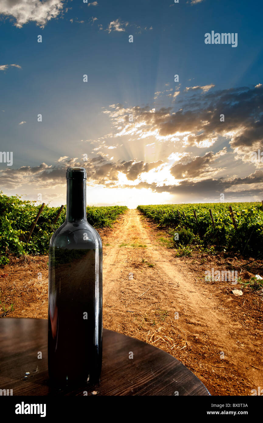 Federico caputo Stock Photos & Images from Alamy