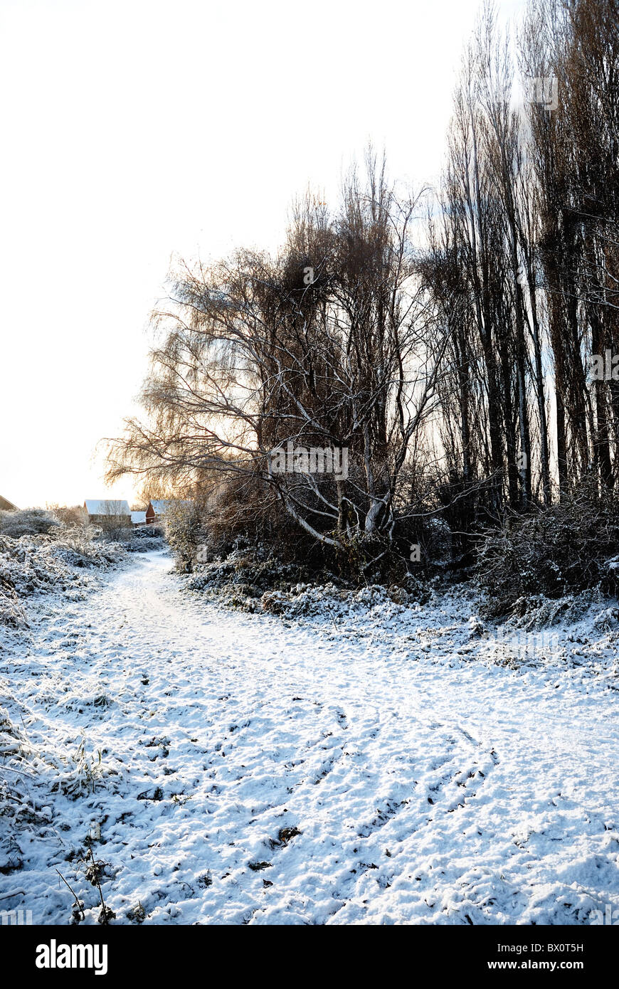 winter scene england uk Stock Photo - Alamy