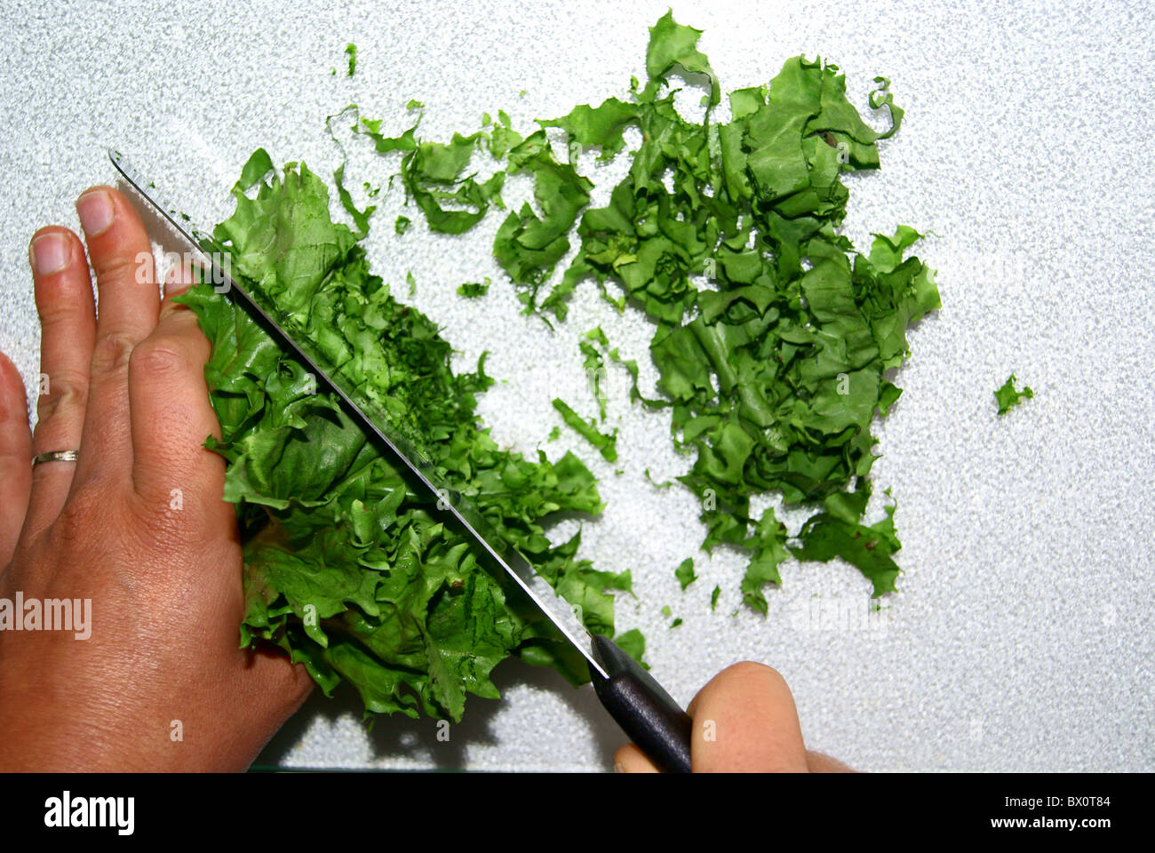 Endive slice hi-res stock photography and images - Alamy