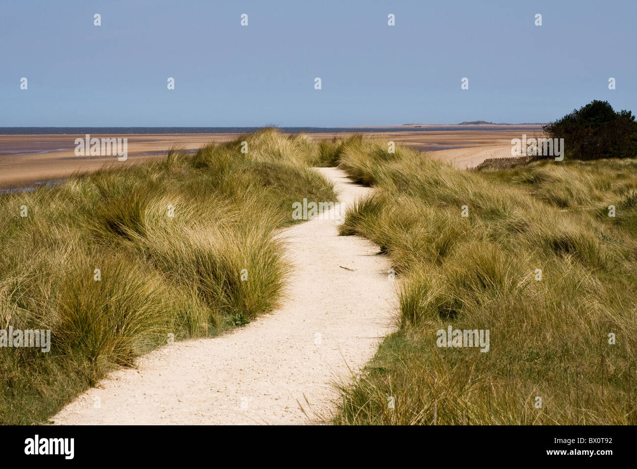 Windy Path Down To Beach