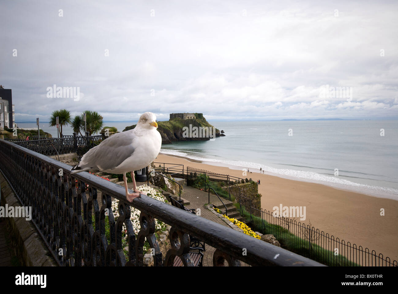 Tenby Pembrokeshire Wales UK Sea Front Esplanade Stock Photo - Alamy