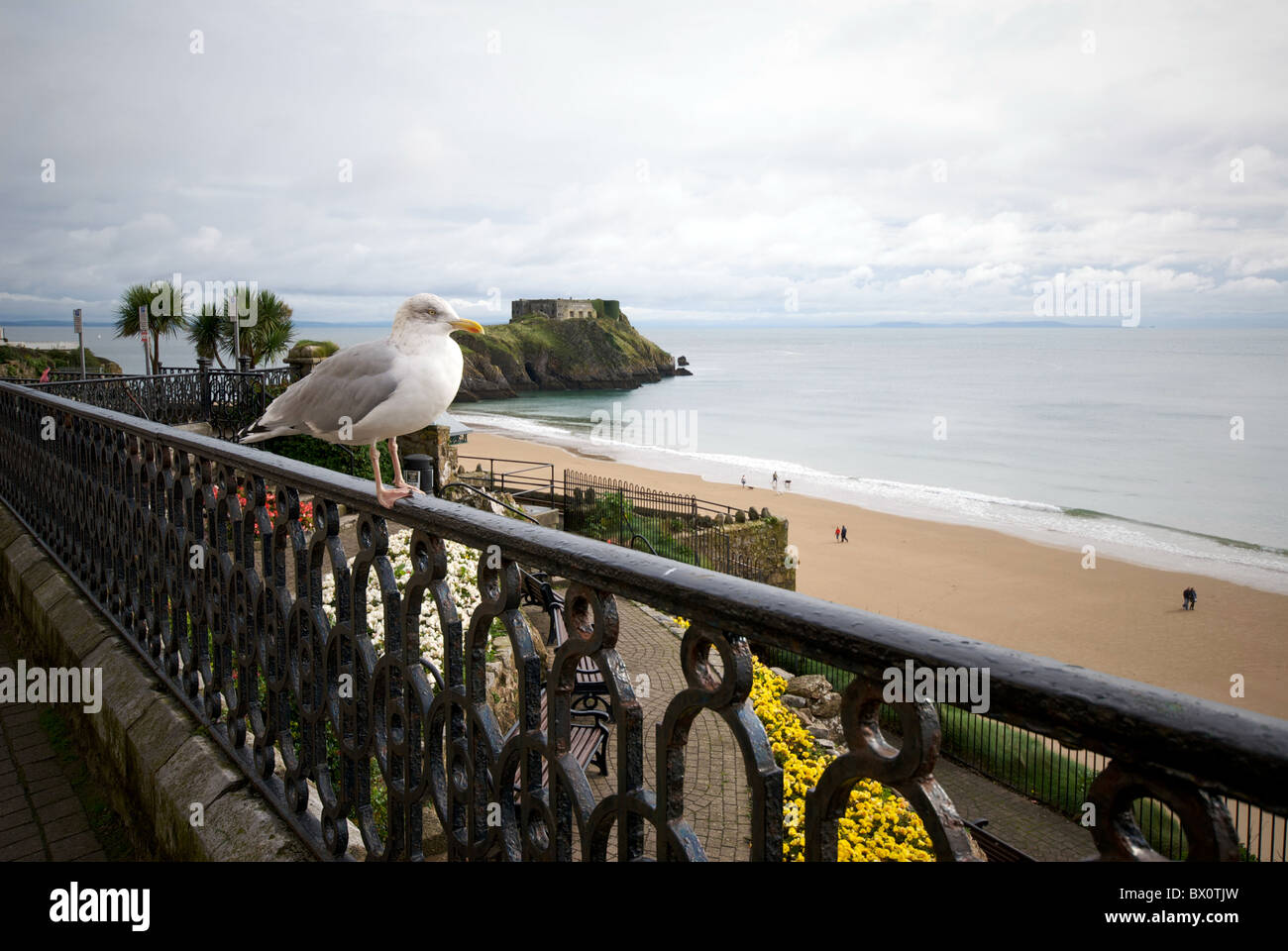 Tenby Pembrokeshire Wales UK Sea Front Esplanade Stock Photo - Alamy