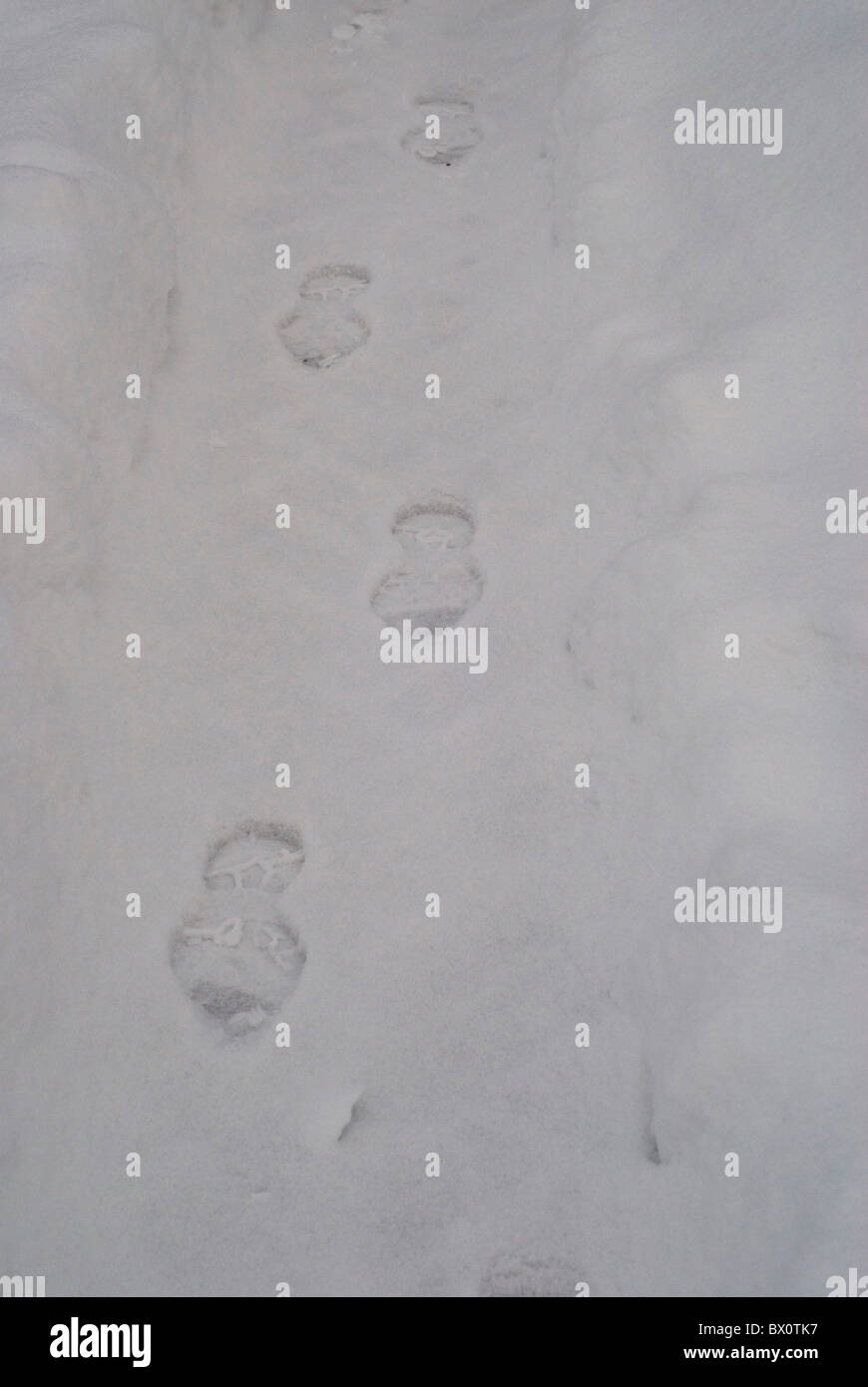 Four foot steps Stock Photo - Alamy