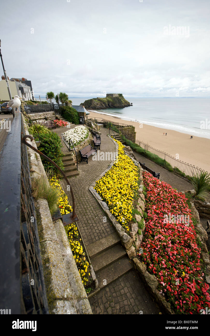 Tenby Pembrokeshire Wales UK Sea Front Esplanade Terraced Gardens Stock ...