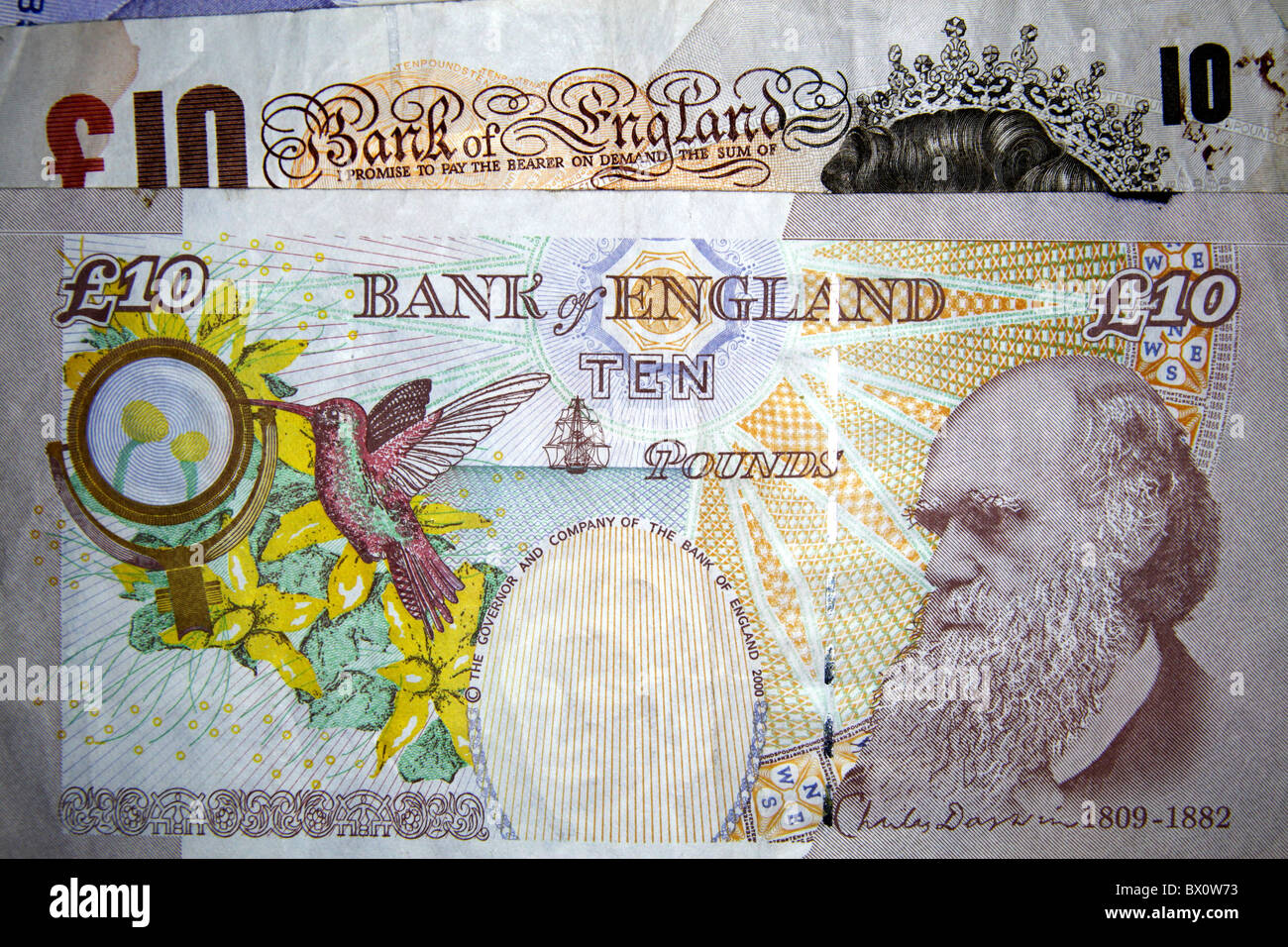British Pound Bank Note with Charles Darwin Stock Photo - Alamy