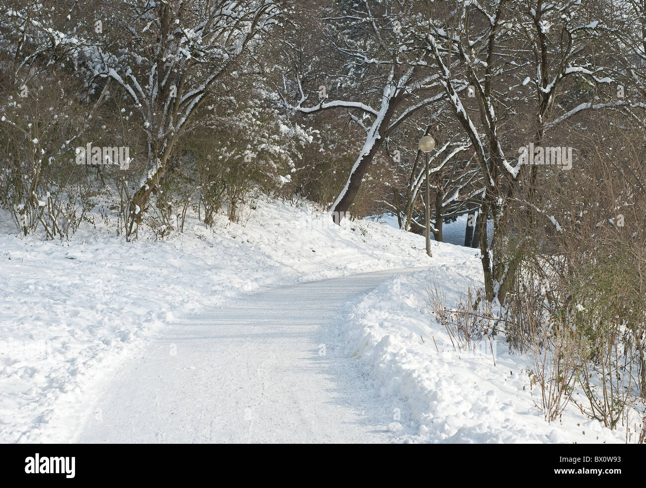 Forest Lane Through Snowy Winter Scenery Stock Photo - Alamy