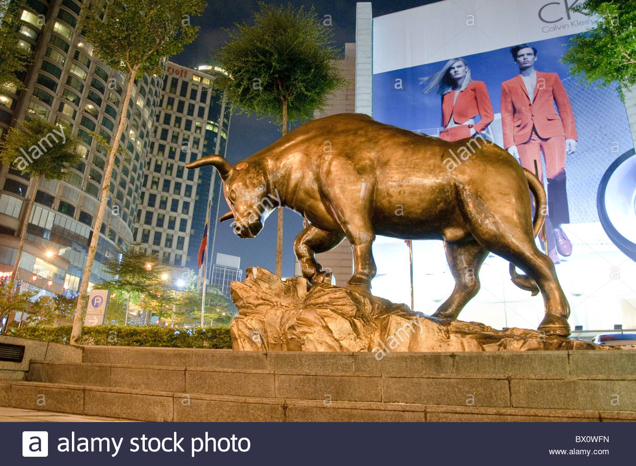 Bull Story High Resolution Stock Photography and Images - Alamy