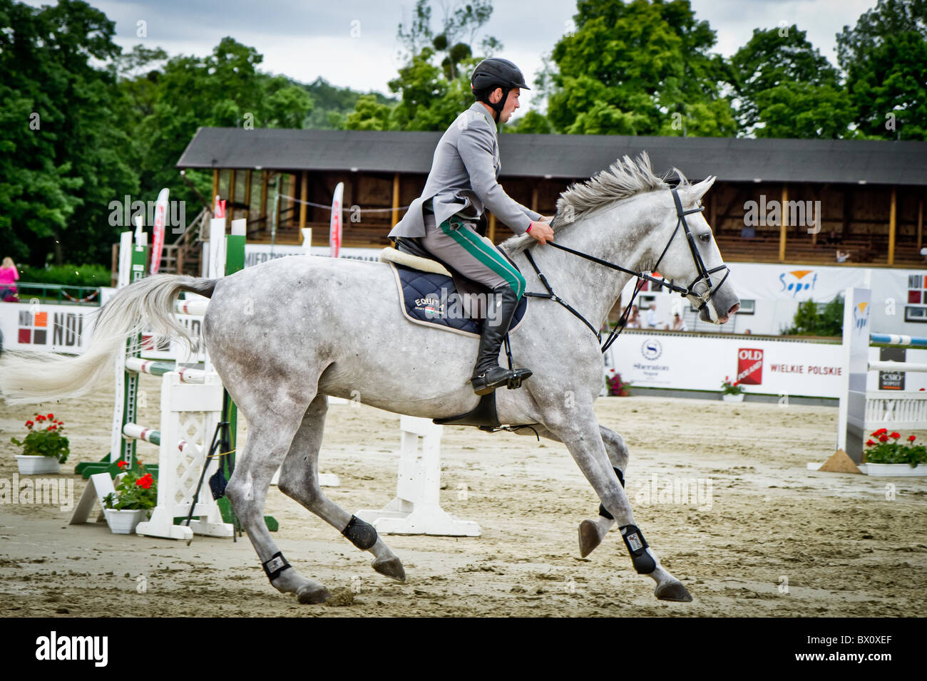 rider during horse jumping show Stock Photo - Alamy