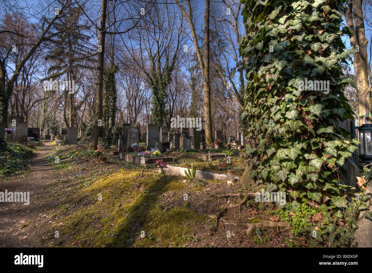 Olsany Cemetery Stock Photos & Olsany Cemetery Stock Images - Alamy