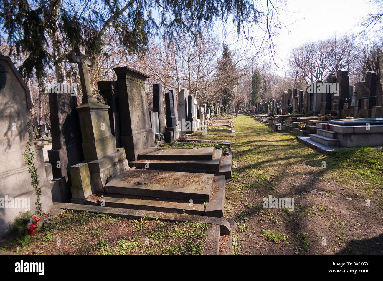 Olsany cemetery hi-res stock photography and images - Alamy