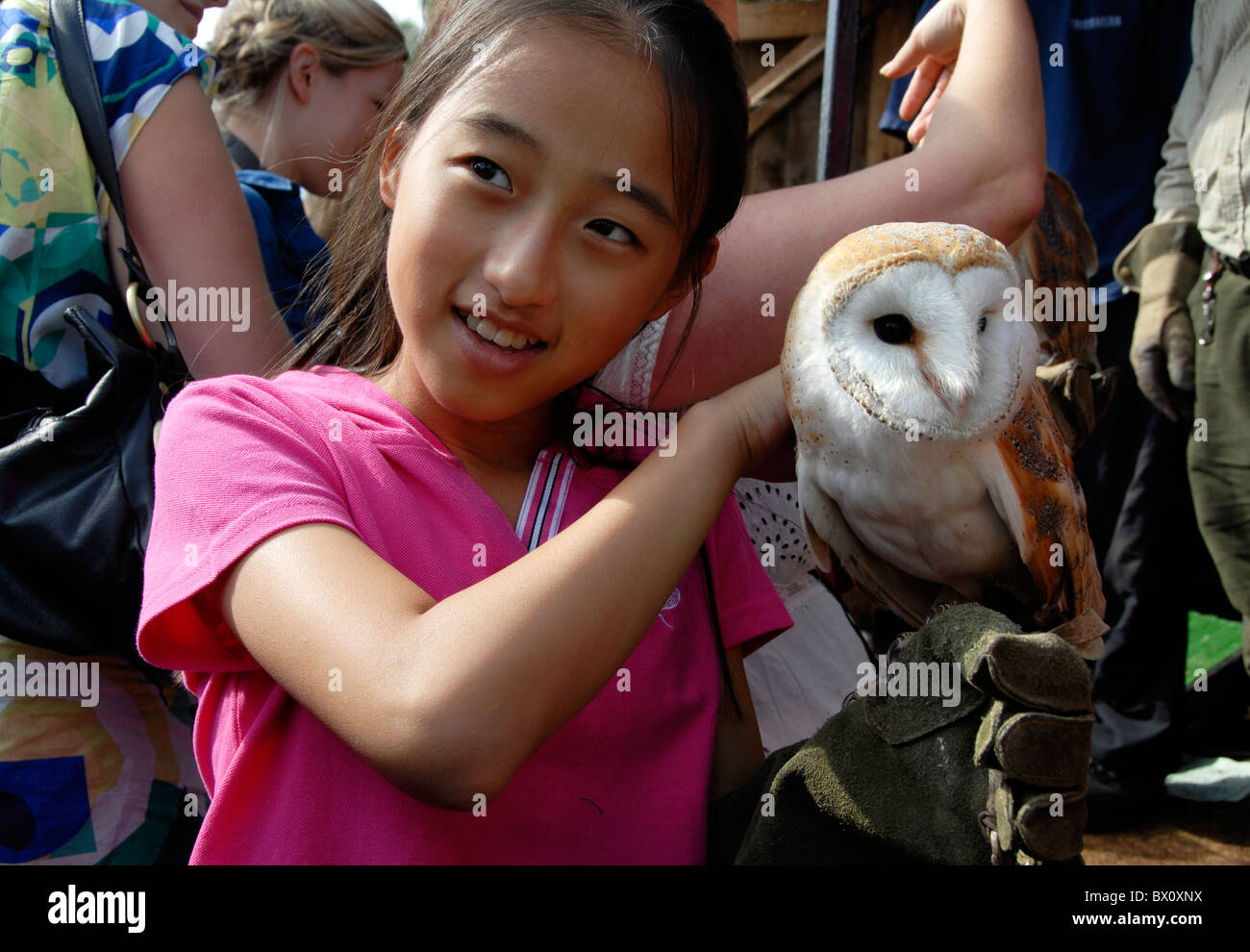 Young girl holding a barn owl at city environment Stock Photo - Alamy