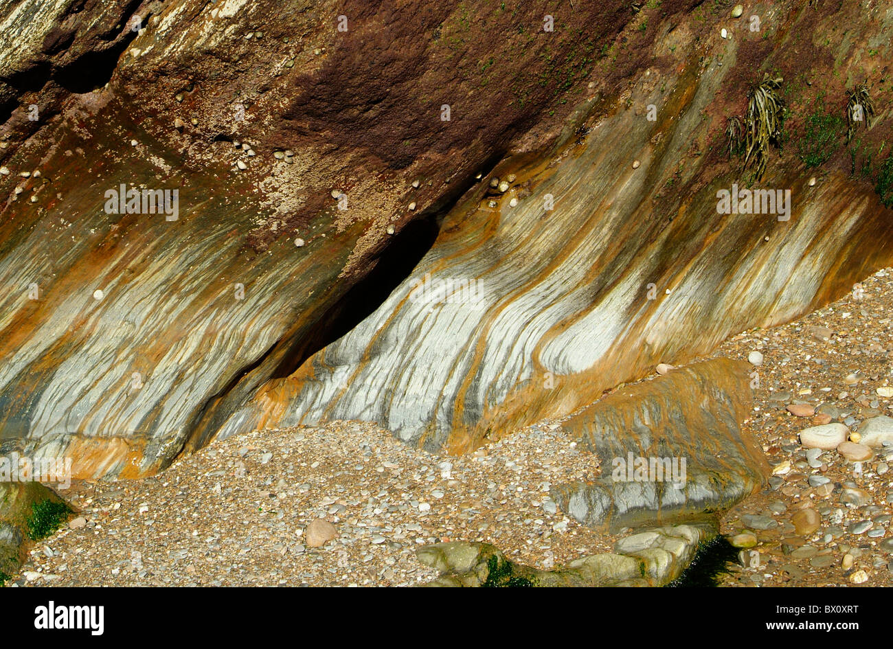 coloured rock strata patterns at Combe Martin, Devon U.K Stock Photo ...