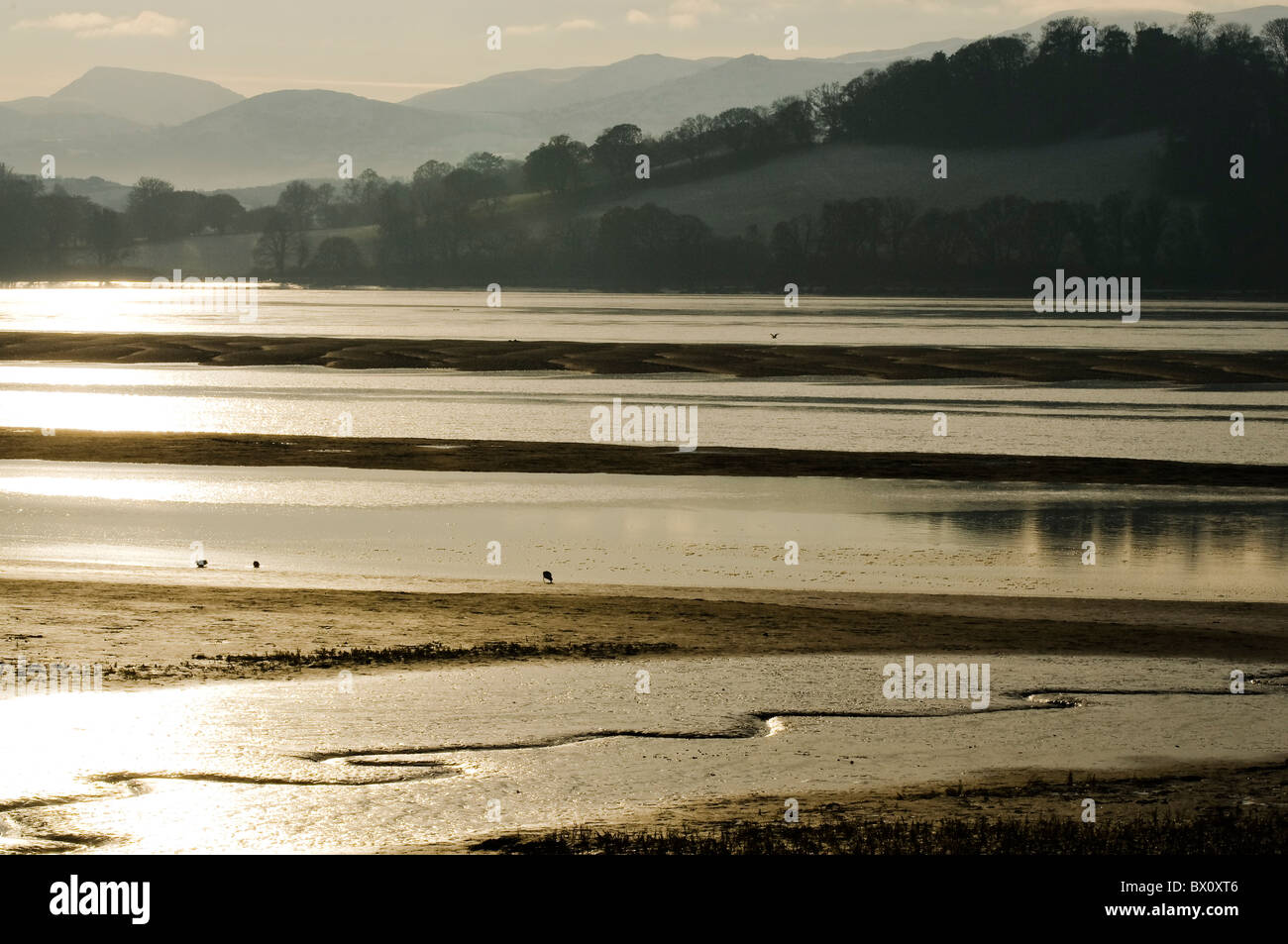 The Carneddau and the Conwy Estuary from Conwy RSPB reserve Stock Photo ...