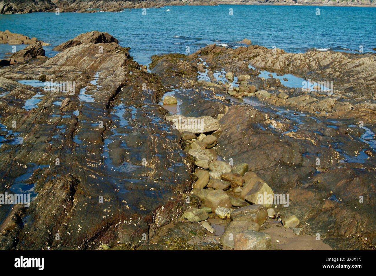 Rock pools at Combe Martin, Devon U.K Stock Photo - Alamy