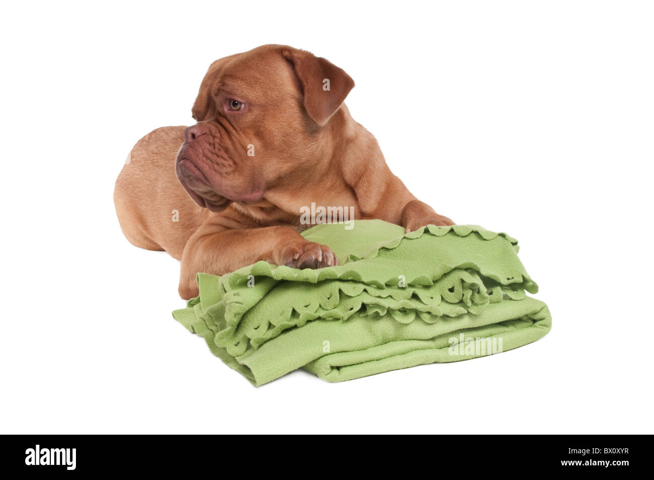 Going to sleep Cut Out Stock Images & Pictures - Alamy