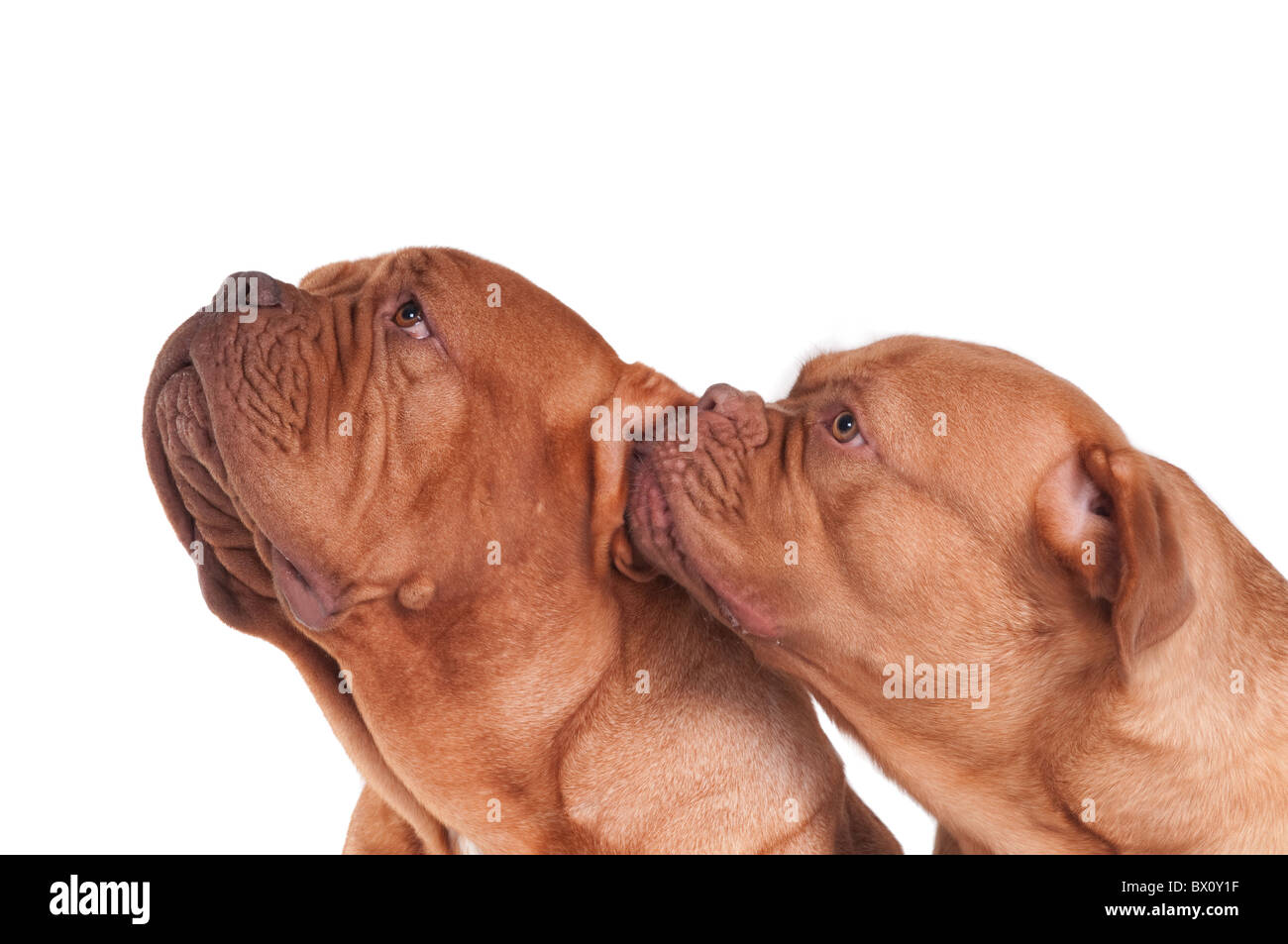 Whisper floor hi-res stock photography and images - Alamy