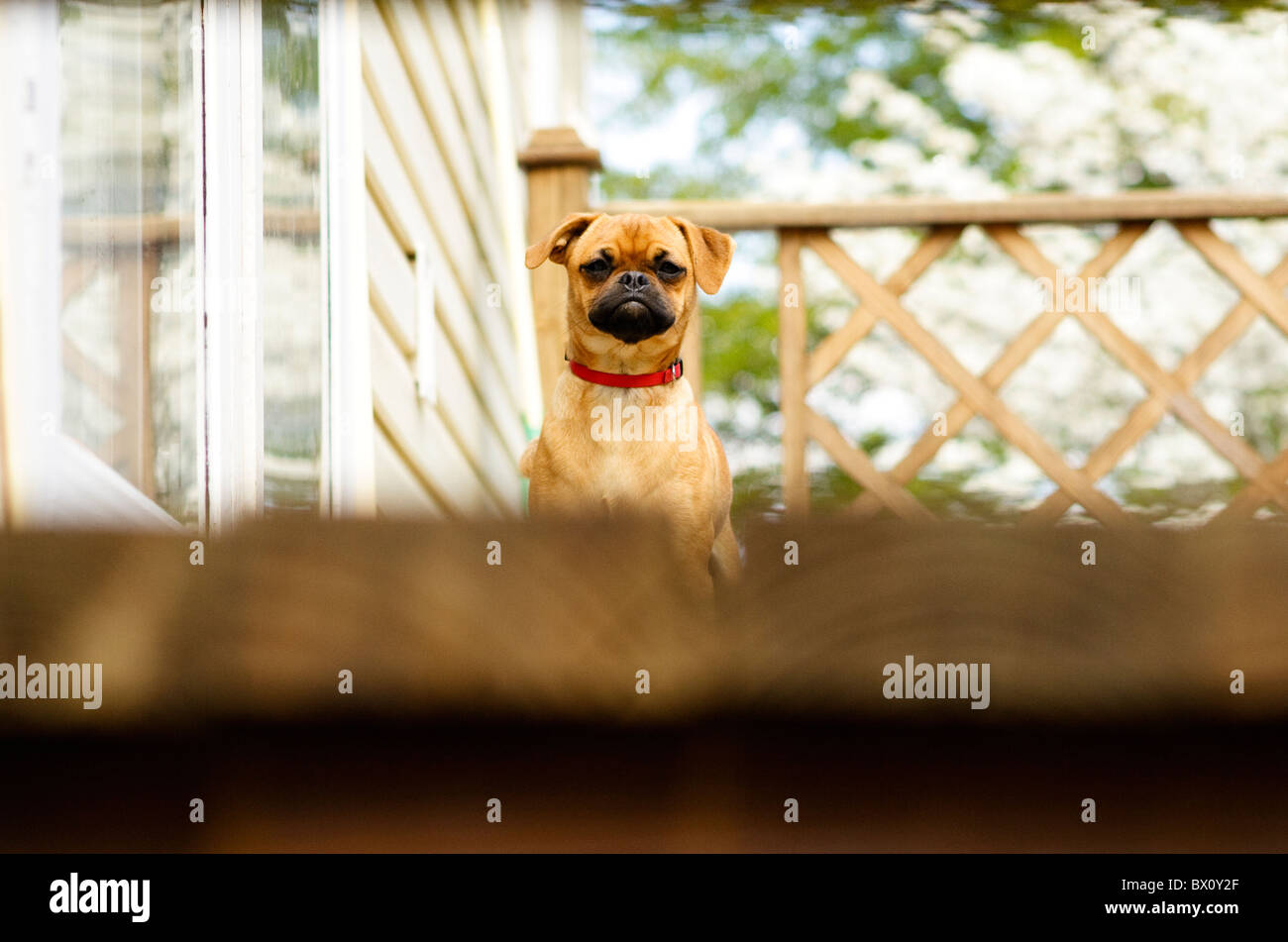 Defense in depth hi-res stock photography and images - Alamy