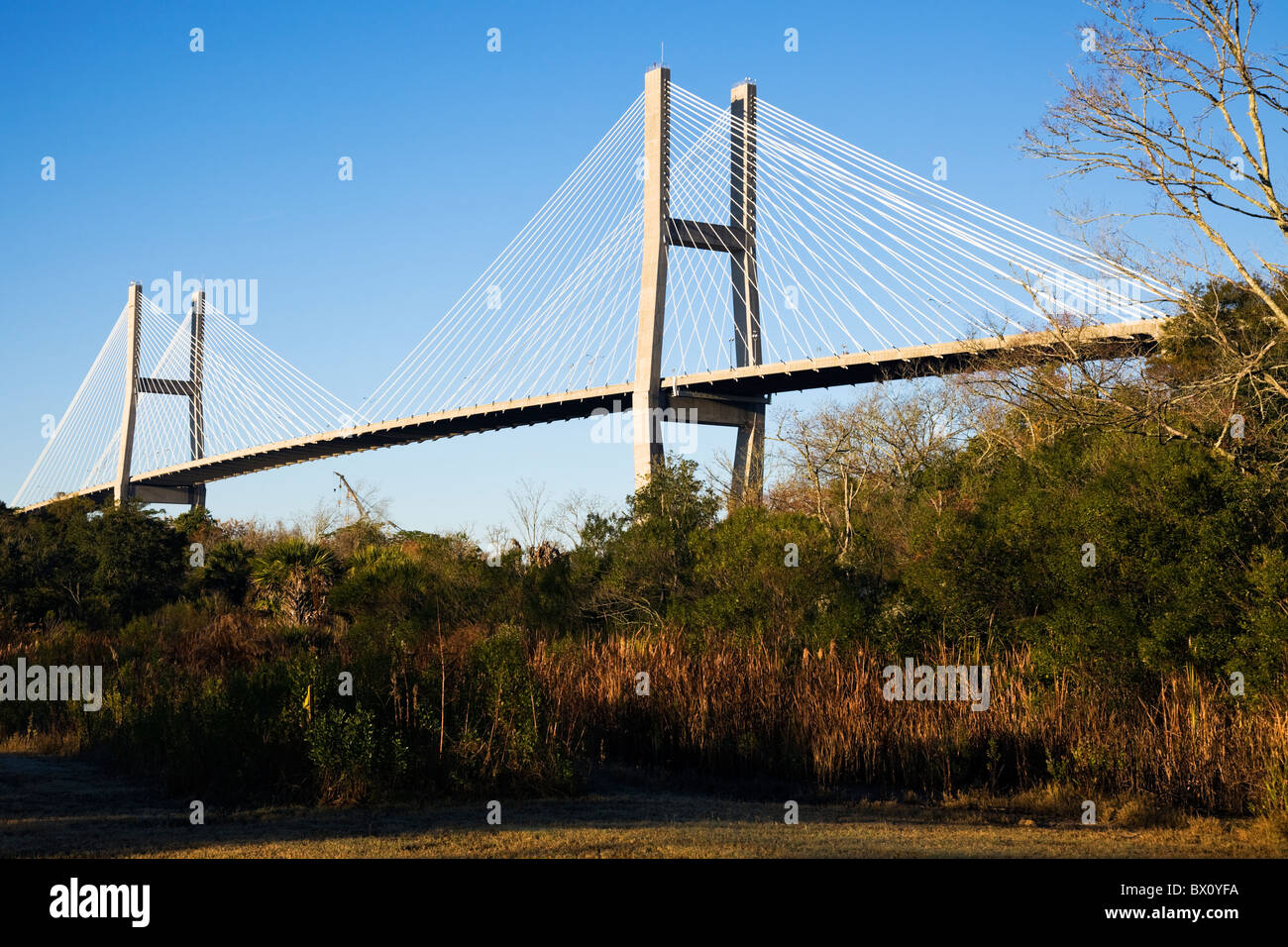 Talmadge Memorial Bridge in Savannah Stock Photo - Alamy