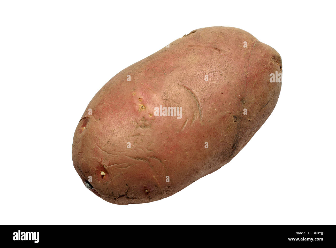 Studio shot of single potato isolated on white background Stock Photo ...