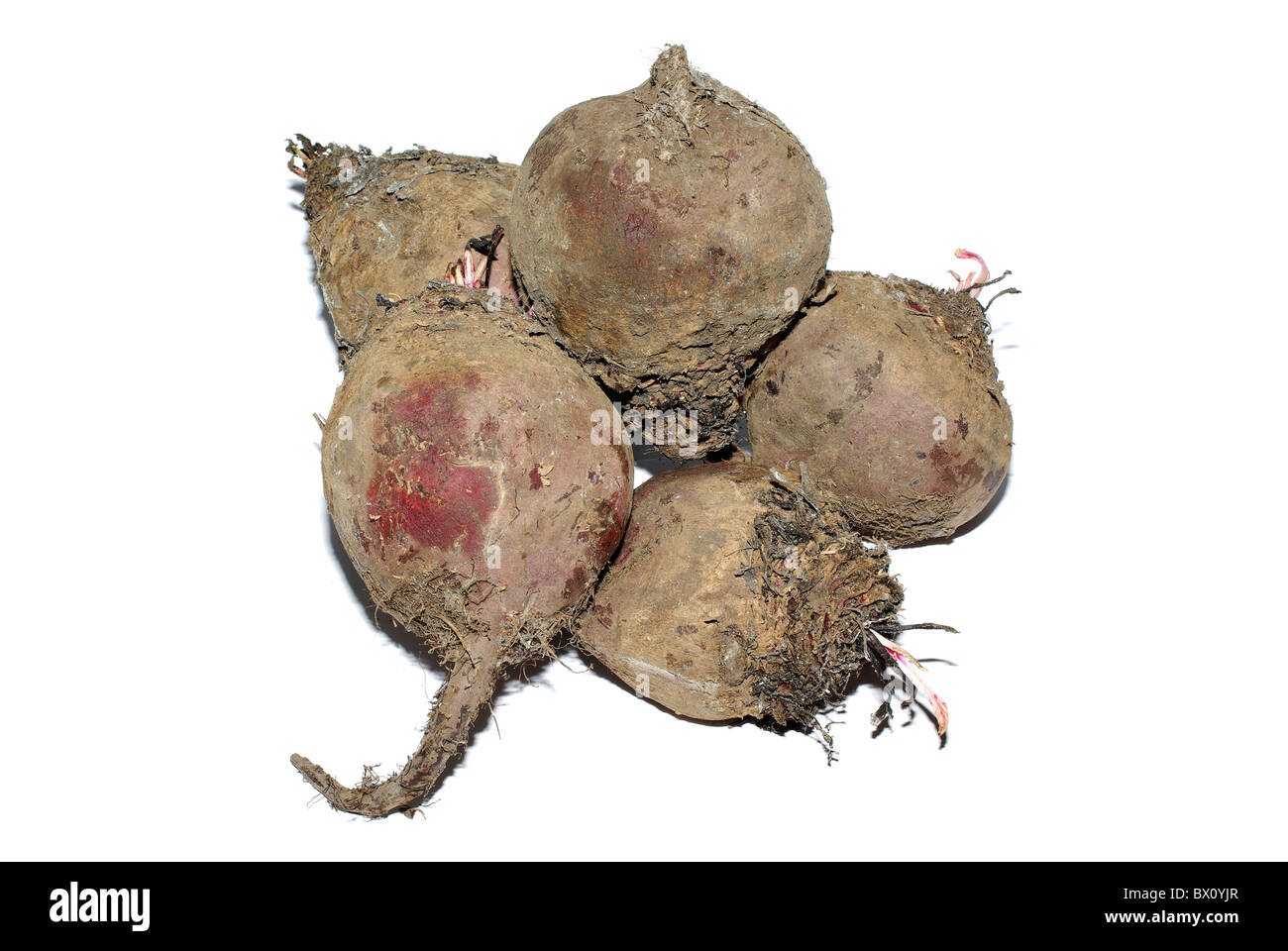 Stack of dirty raw beet isolated on white background Stock Photo - Alamy