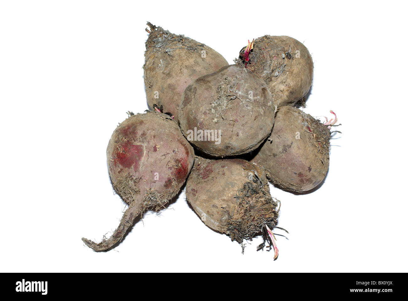 Heap of dirty raw beet isolated on white background Stock Photo - Alamy