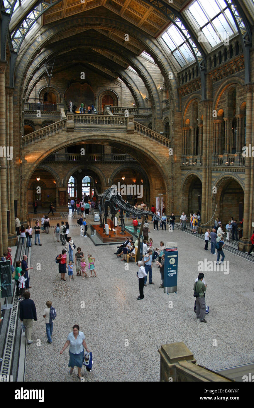 Main hall of the Natural History Museum in London Stock Photo - Alamy