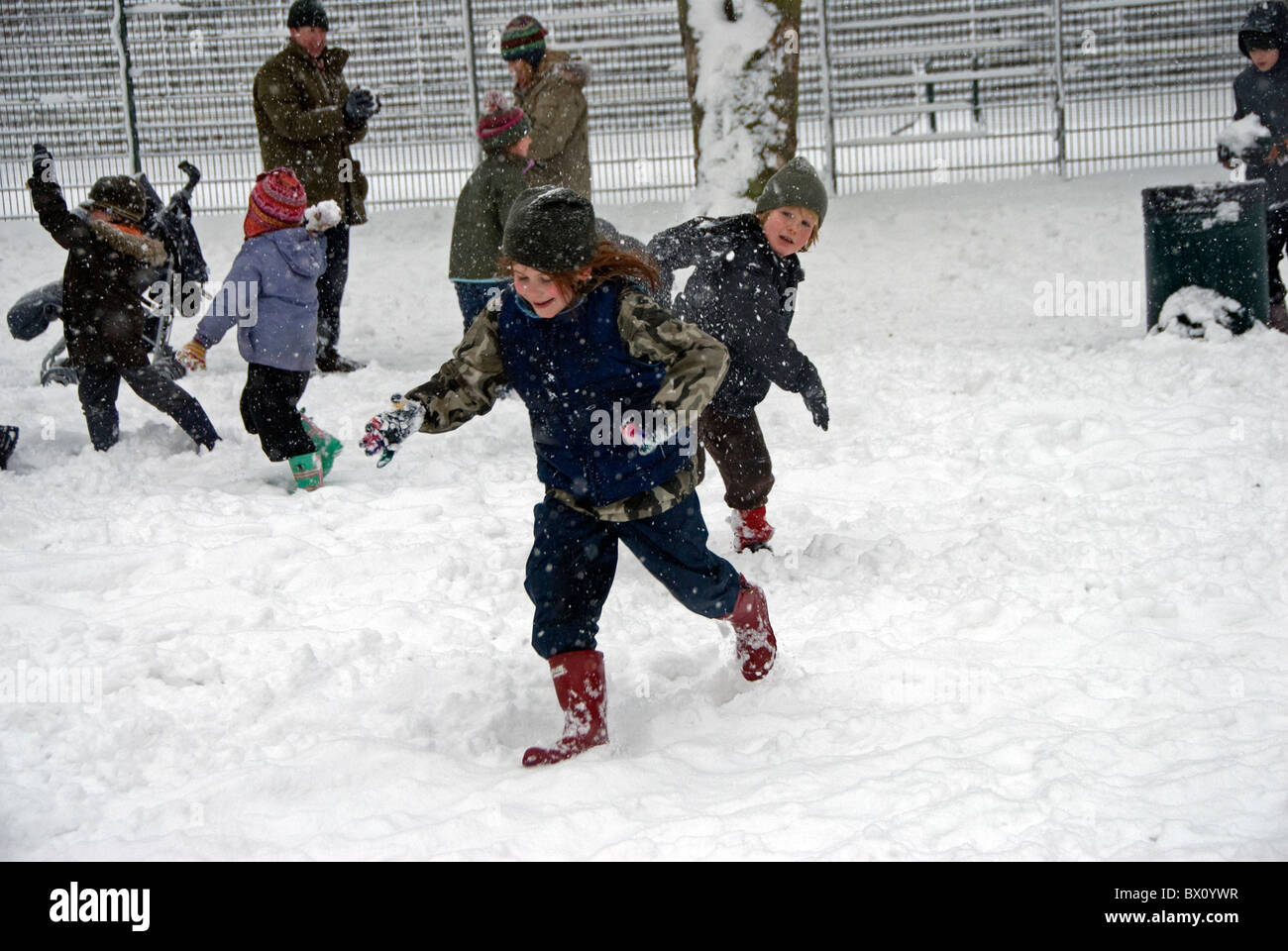 Family having snowball fight in the park Stock Photo - Alamy