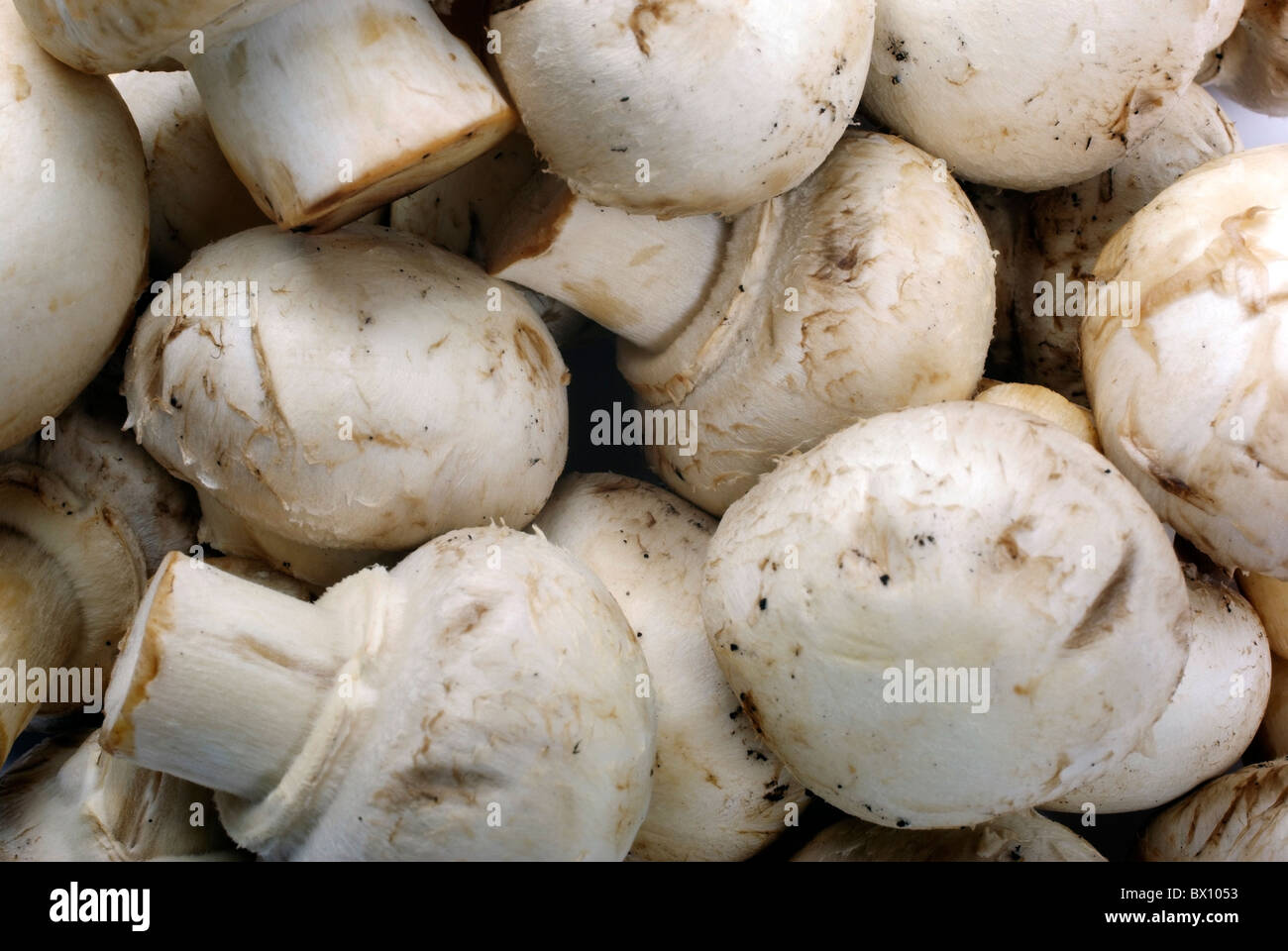 Edible champignon mushrooms macro as food background Stock Photo - Alamy