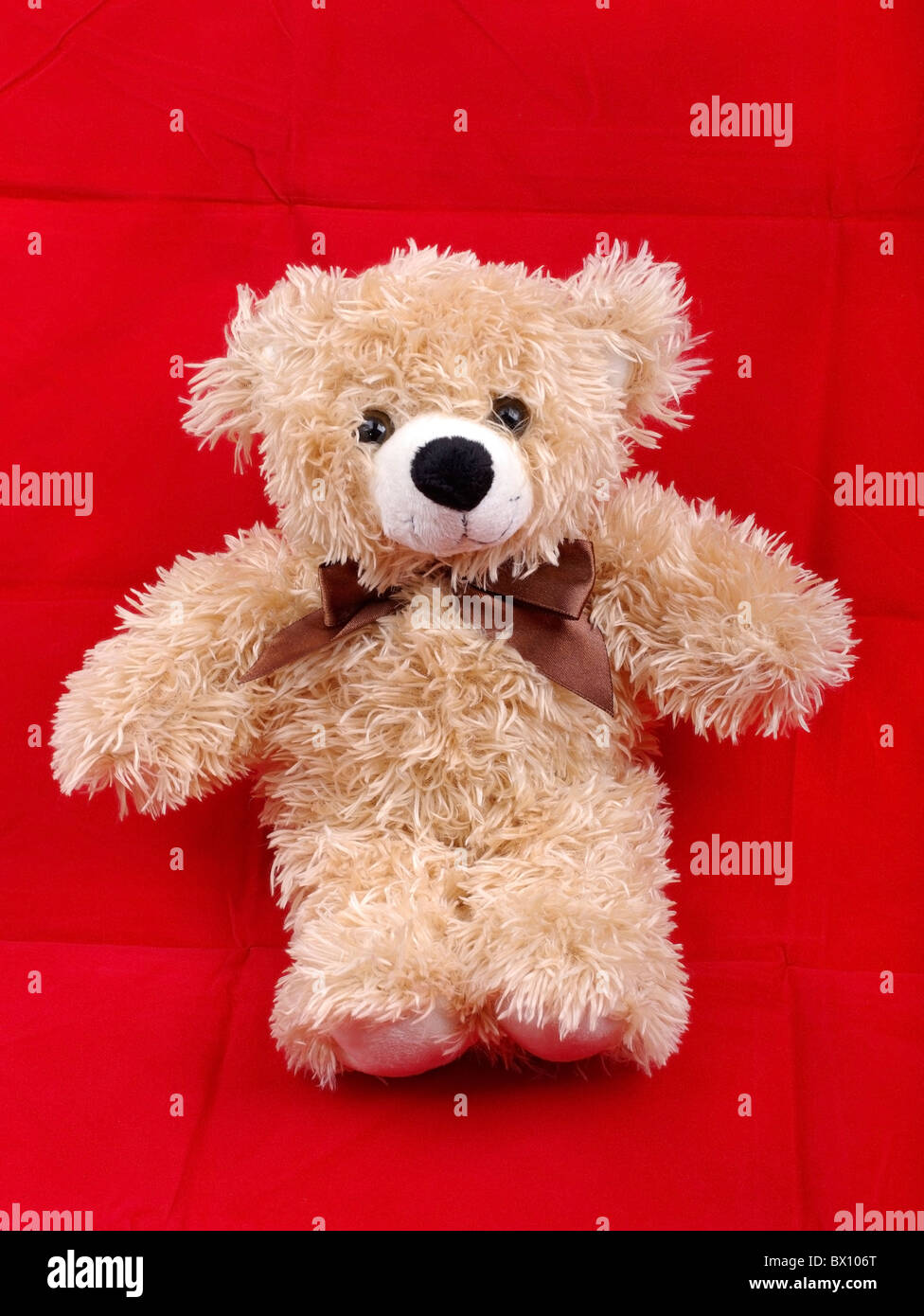 Brown bear toy isolated on red background with shadow Stock Photo - Alamy