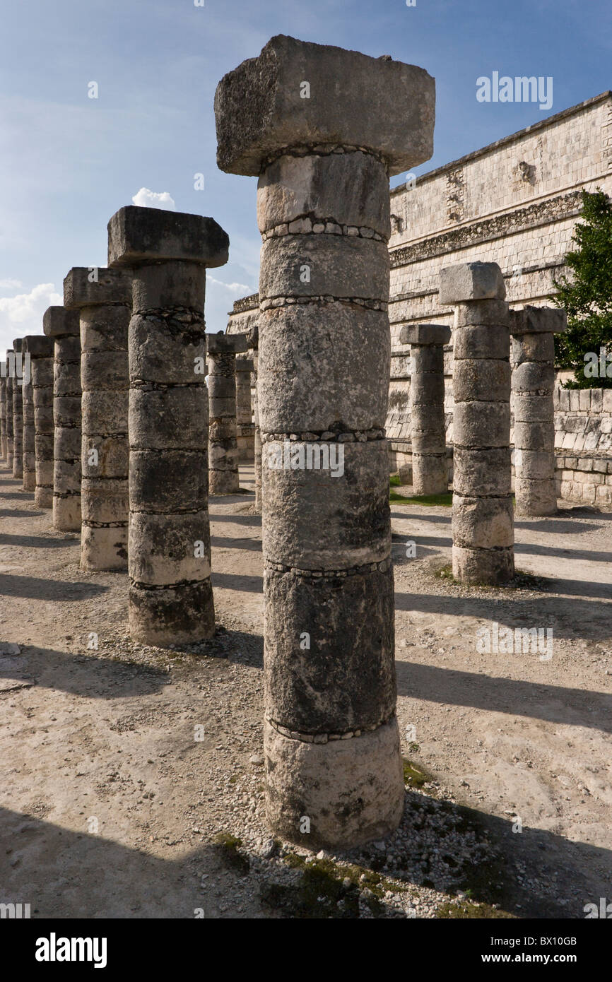 Stone columns in the Group of 1000 Columns in the Classic Maya site of ...