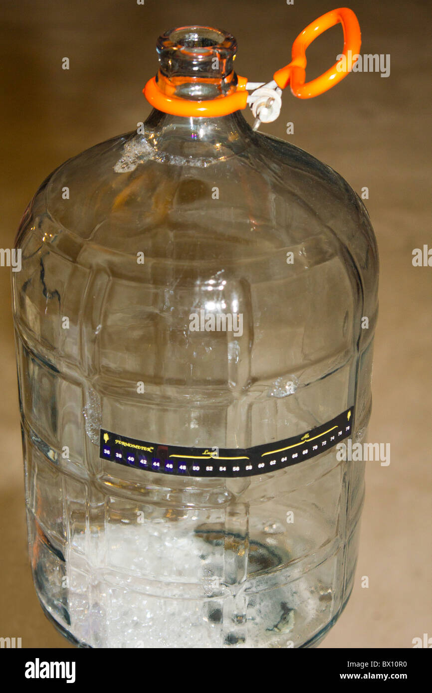 Sanitized carboy used as fermentation vessel for homebrewing Stock ...