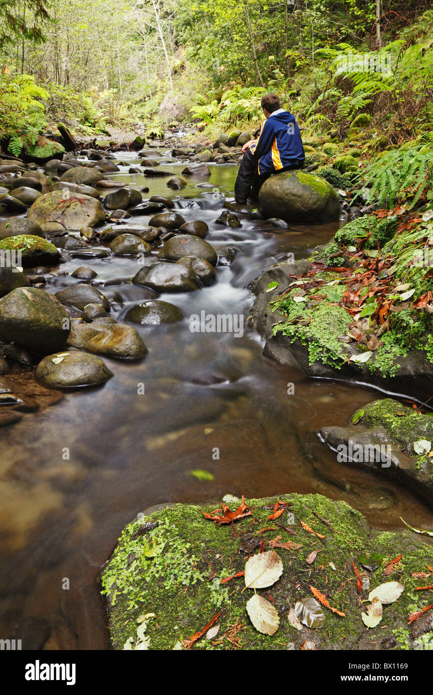 Person sitting on rock and enjoying the forest scene Stock Photo - Alamy