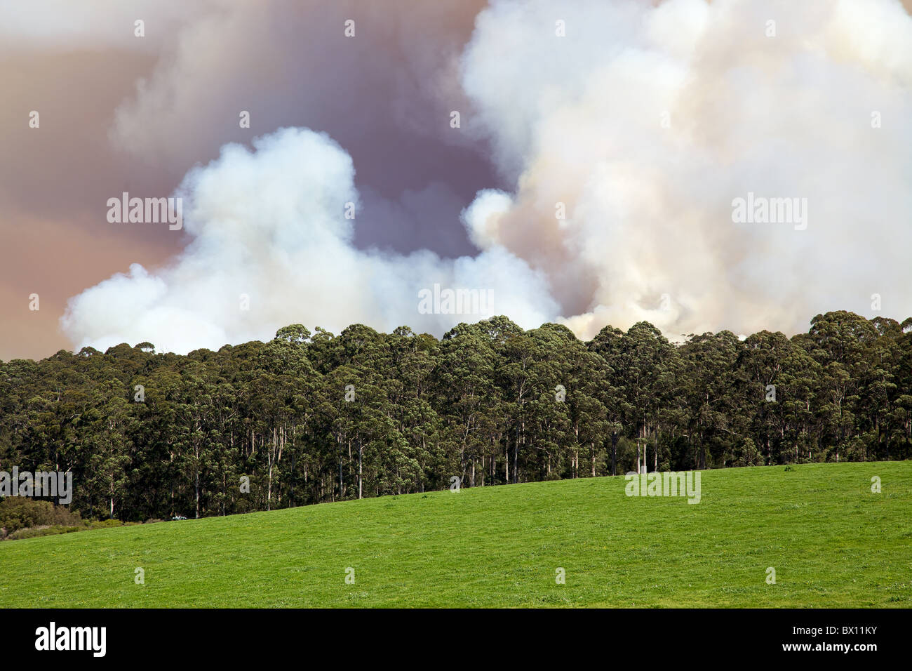 Fire danger in australia hi-res stock photography and images - Alamy