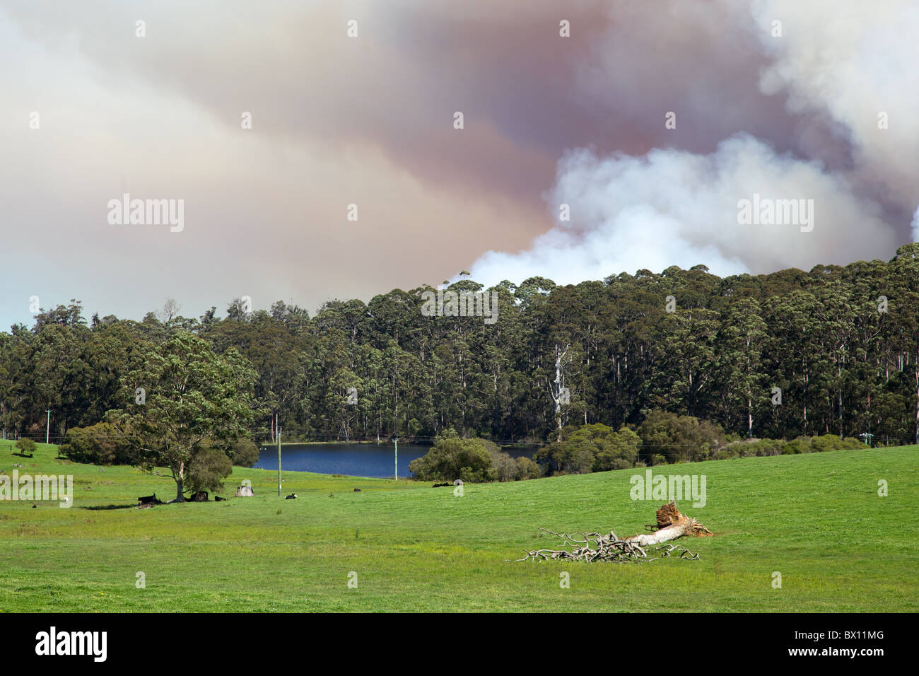 A forest fire near the town of Pemberton in Western Australia Stock ...