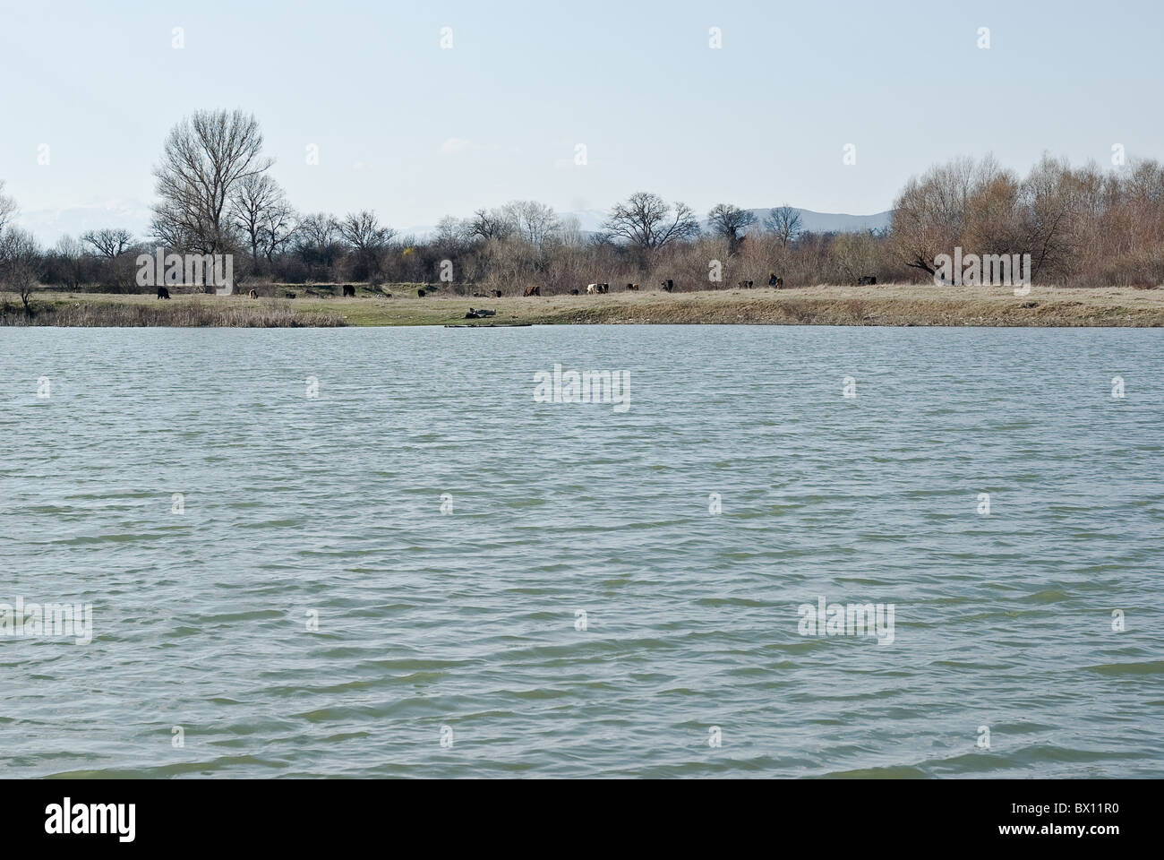 Deep river hi-res stock photography and images - Alamy