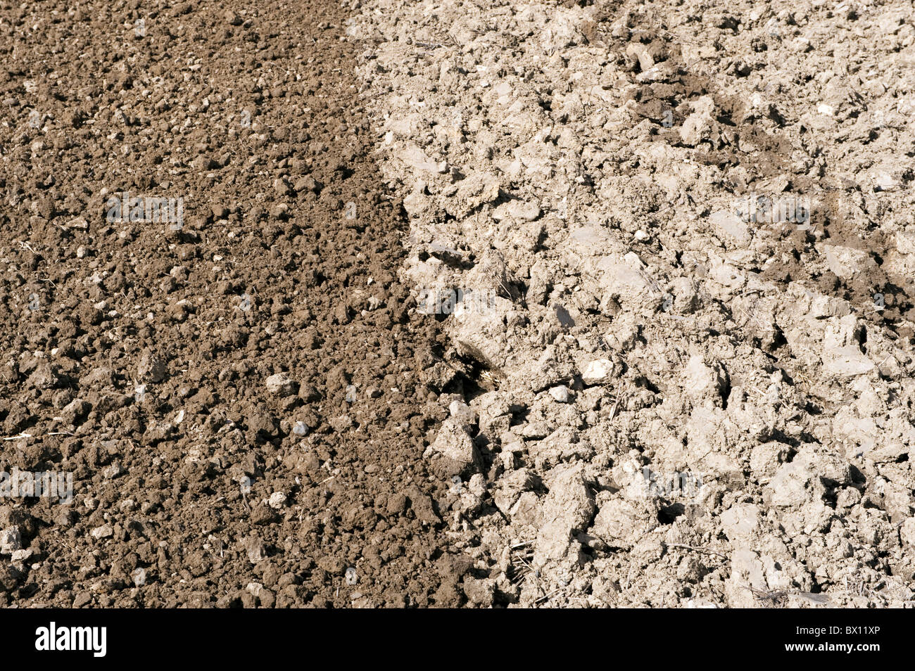 Seed bed hi-res stock photography and images - Alamy