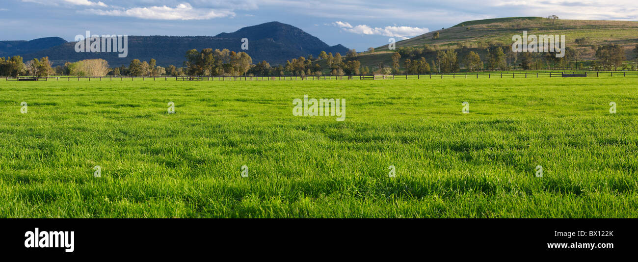 Lush green grass pasture fields paddocks hi-res stock photography and ...
