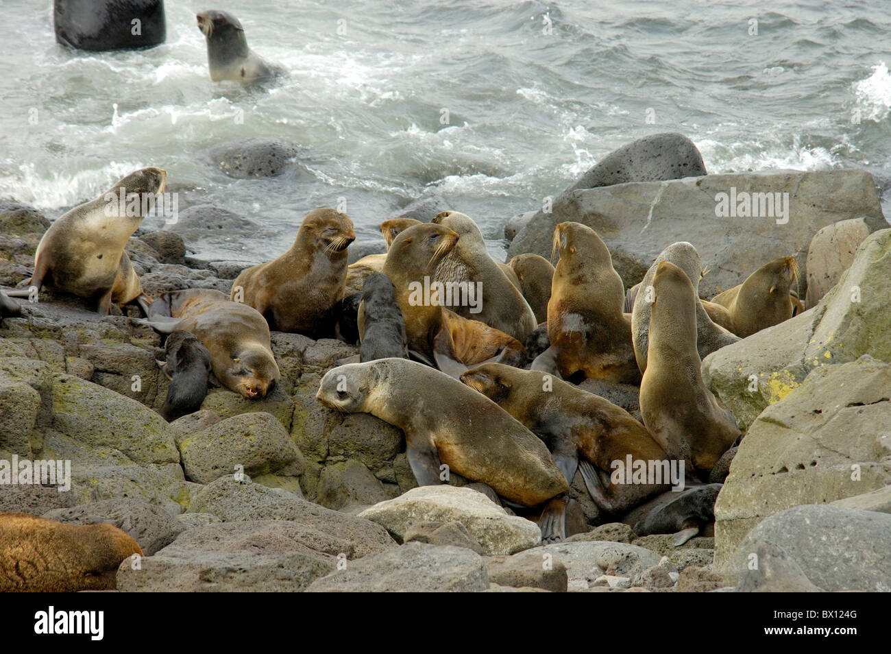 10815065 hi-res stock photography and images - Alamy