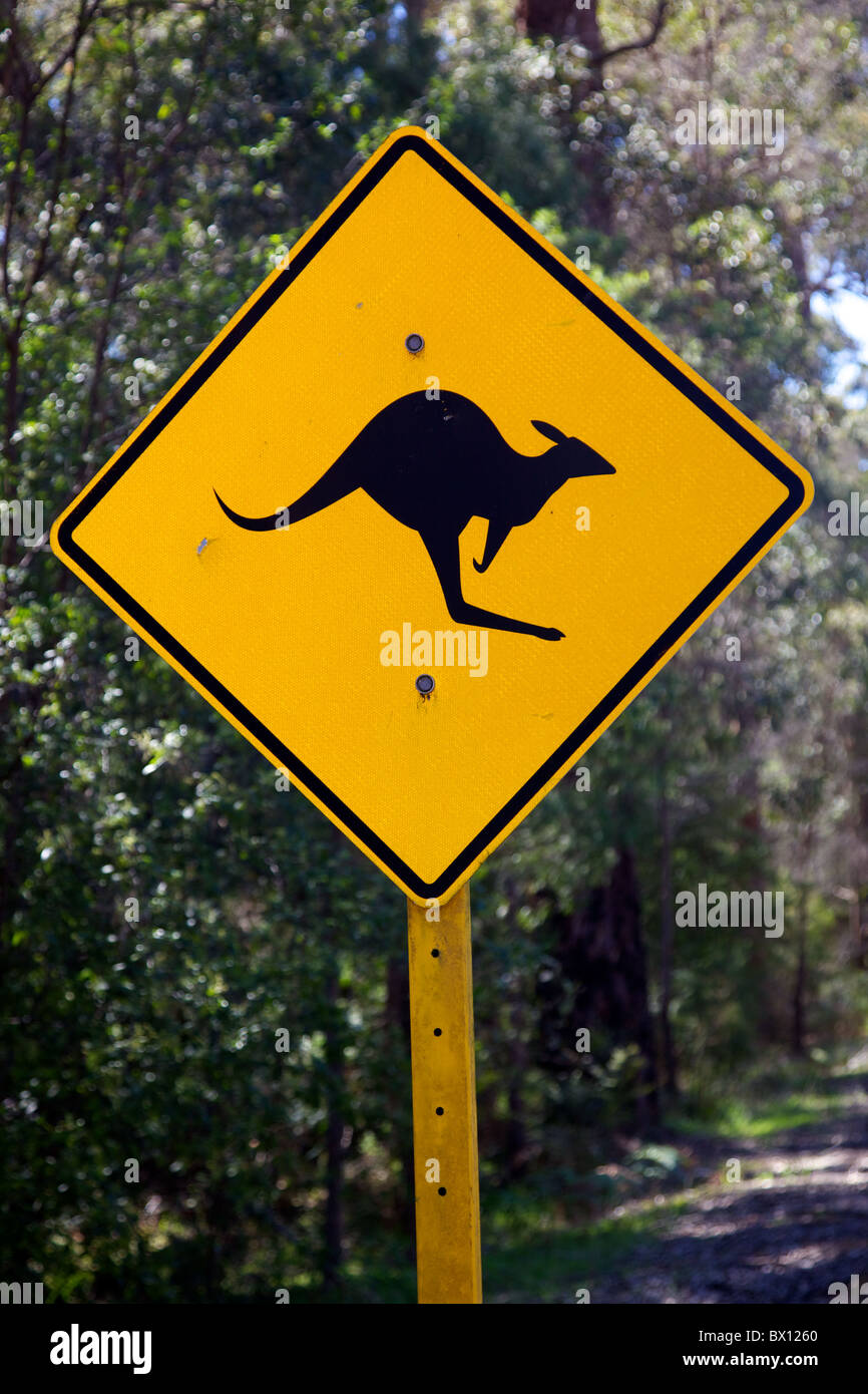 Kangaroo warning sign at roadside hi-res stock photography and images ...