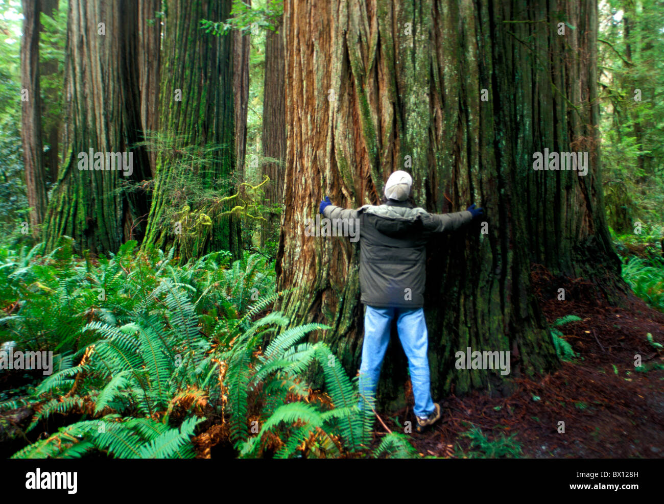 Circumference In Nature