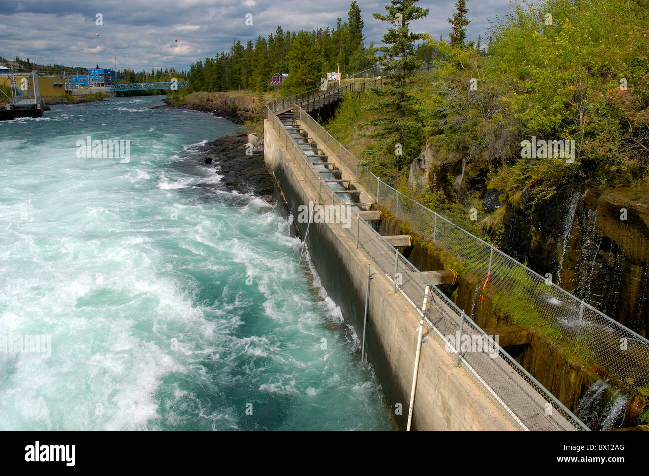 Whitehorse Rapids Fishway 366 meters wooden fish ladder fishes ...