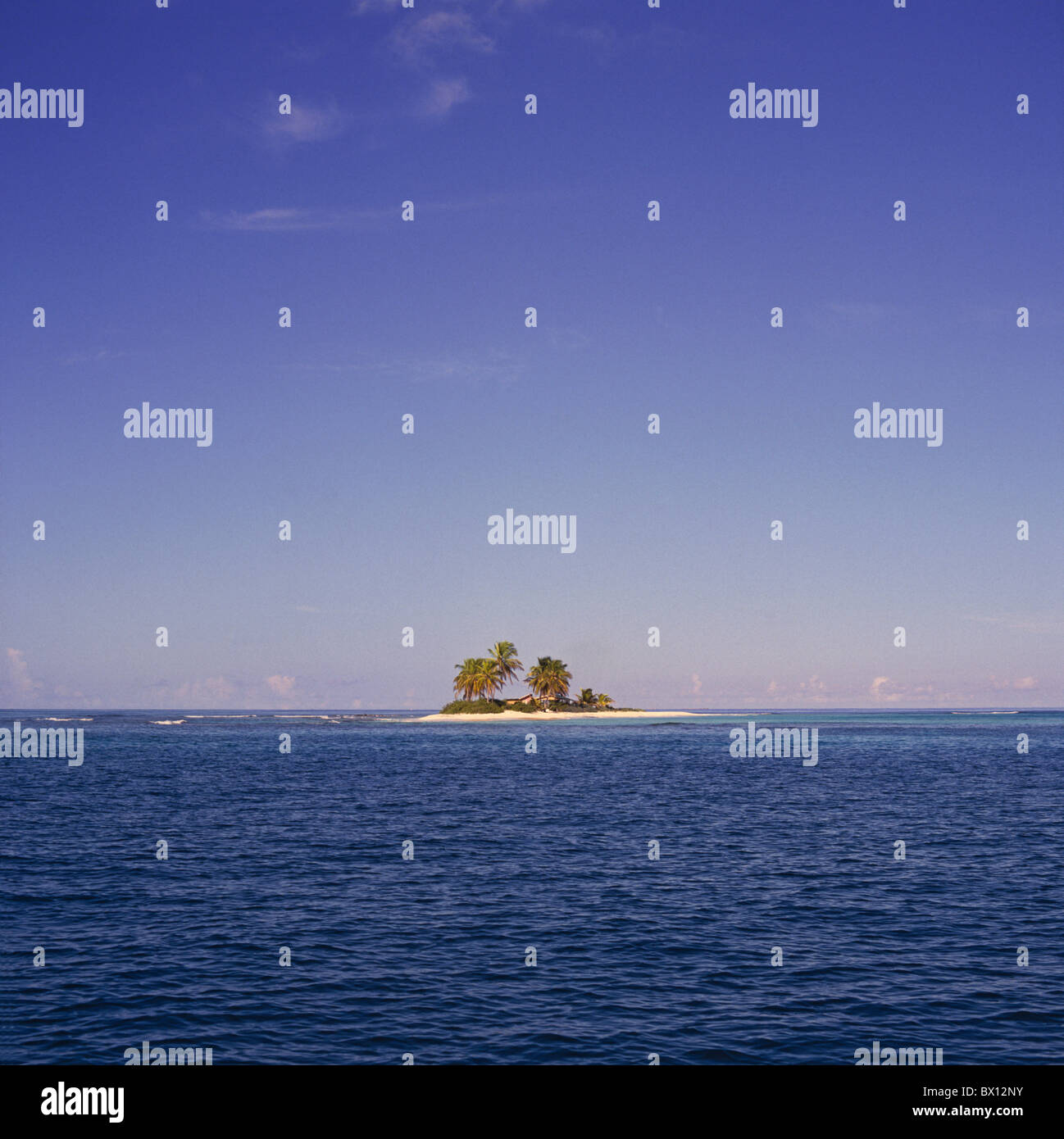 lonesome island isle palm tree island palm trees sea scenery landscape ...