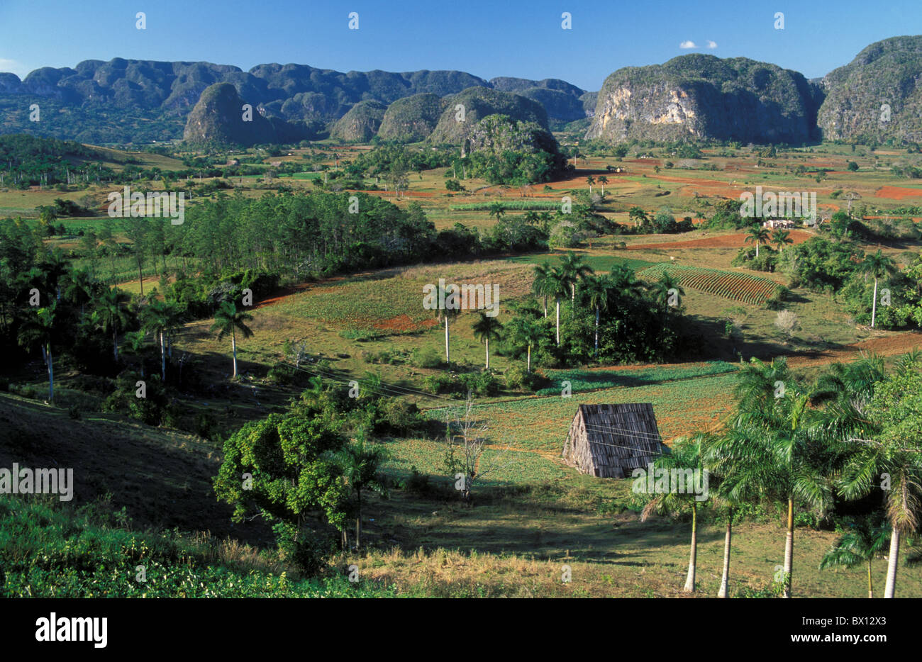 agriculture Cuba fields Mogotes hills scenery landscape Caribbean ...