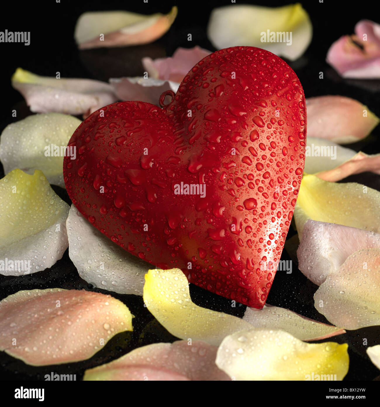red heart with rose petals sprinkled with raindrops on black background ...