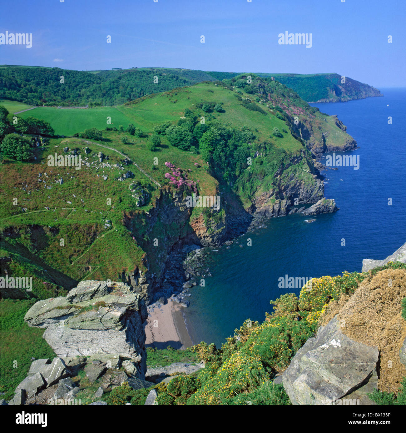 scenery landscape rock steep coast coast sea Valley of The rocks ...